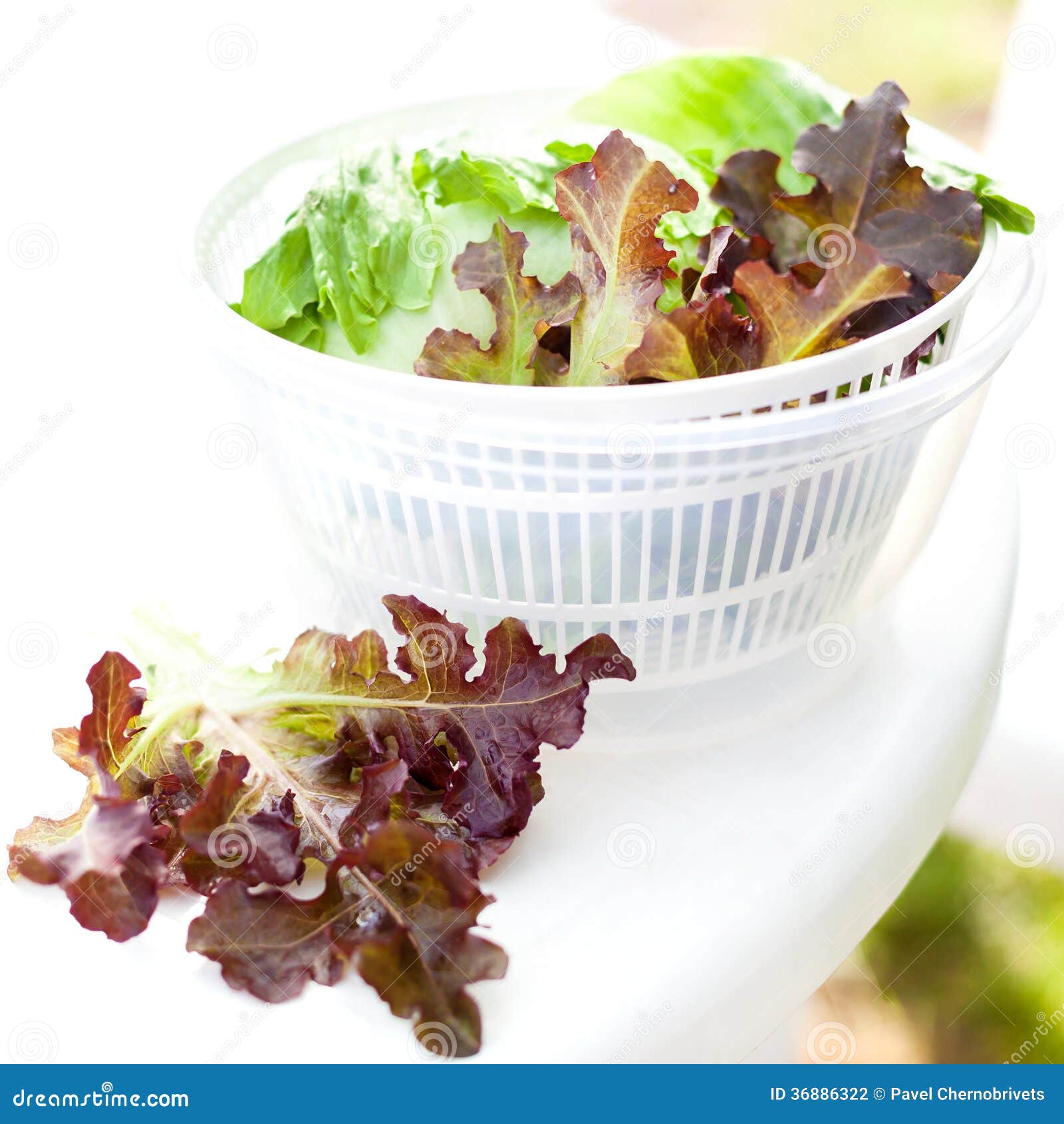 Lettuce salad in spinner stock photo. Image of grass - 36886322