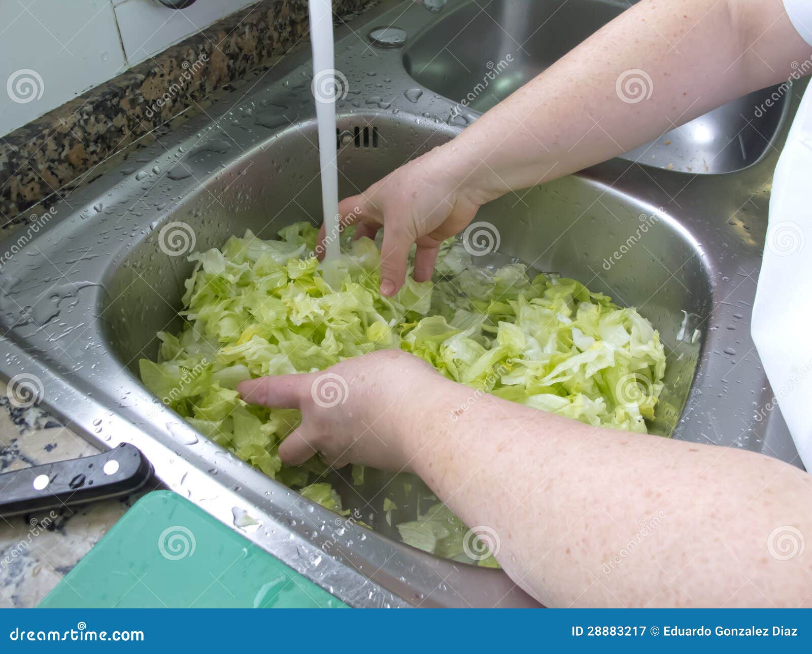 Lettuce sanitizing stock image. Image of bleach, drops - 28883217
