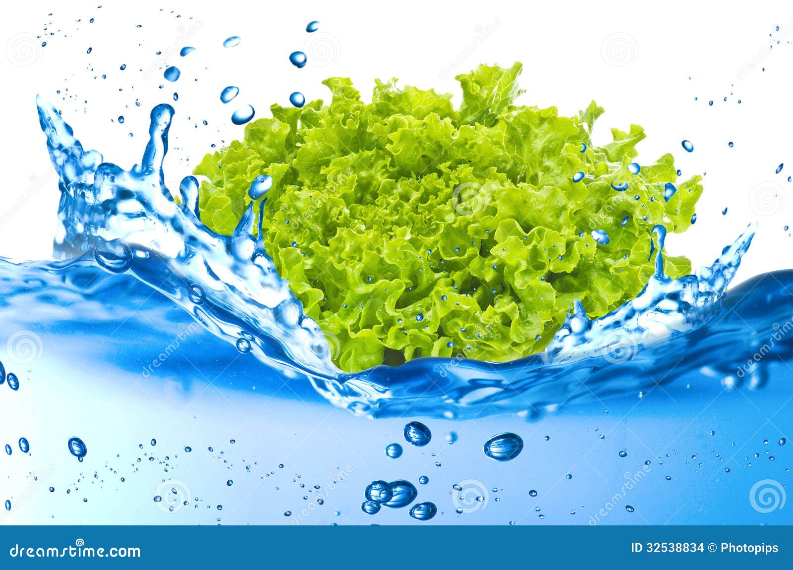Lettuce splash stock photo. Image of humidity, flowing - 32538834