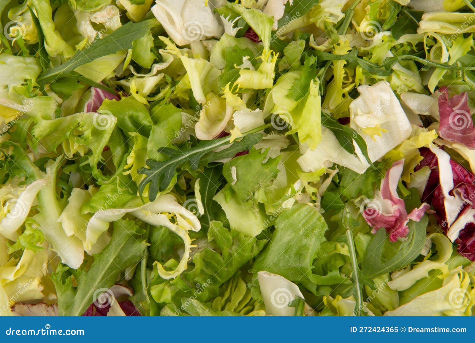 Lettuce Texture - Close-up of Leaves of Several Types of Lettuce Stock ...