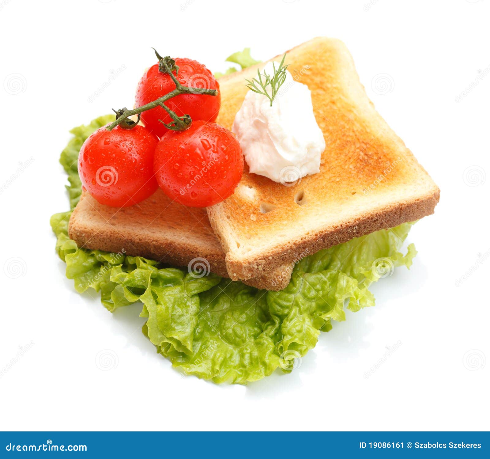 Lettuce with toast stock image. Image of leaf, sandwich - 19086161