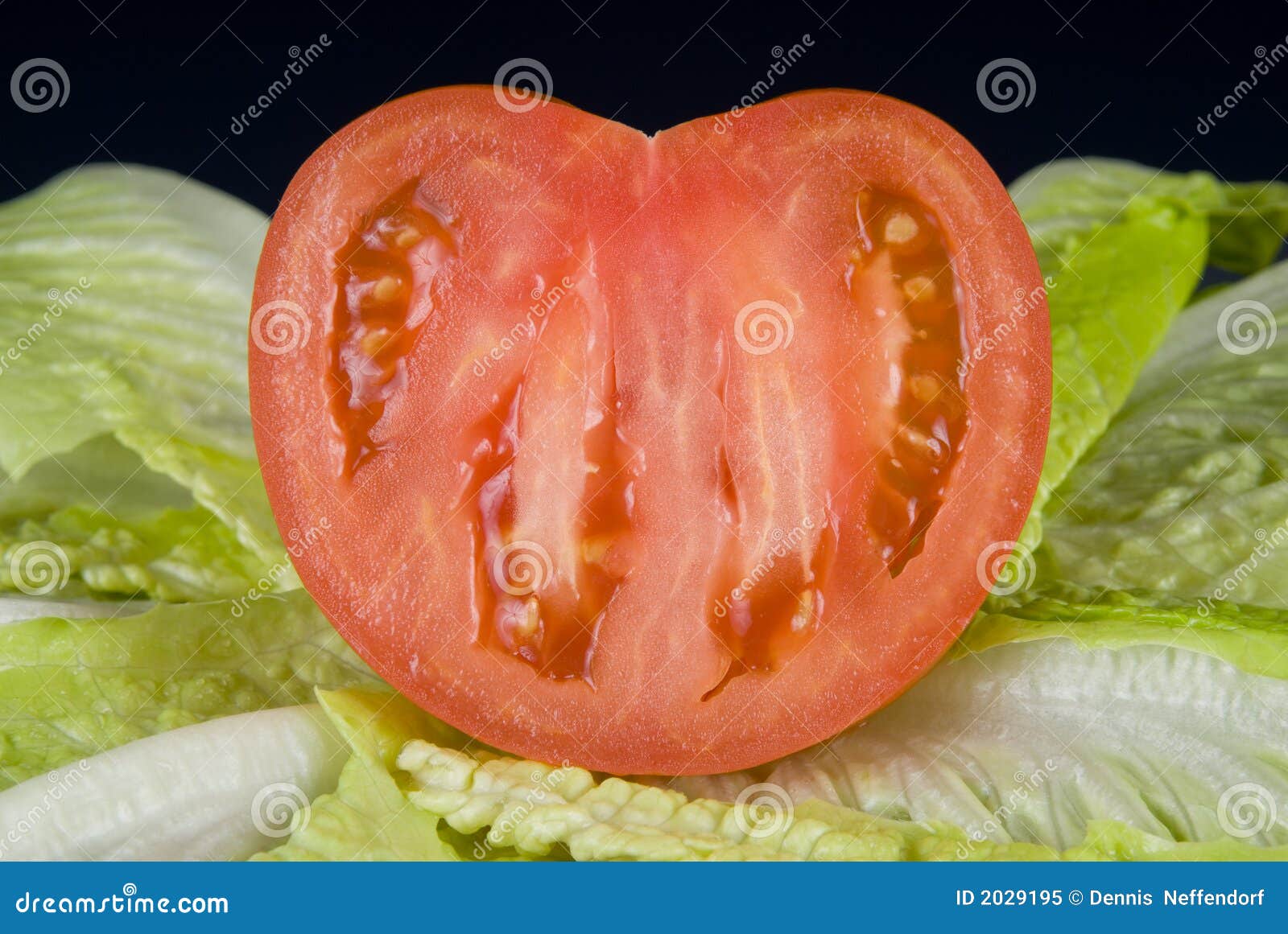 6,793 Tomato Romaine Stock Photos - Free & Royalty-Free Stock Photos ...
