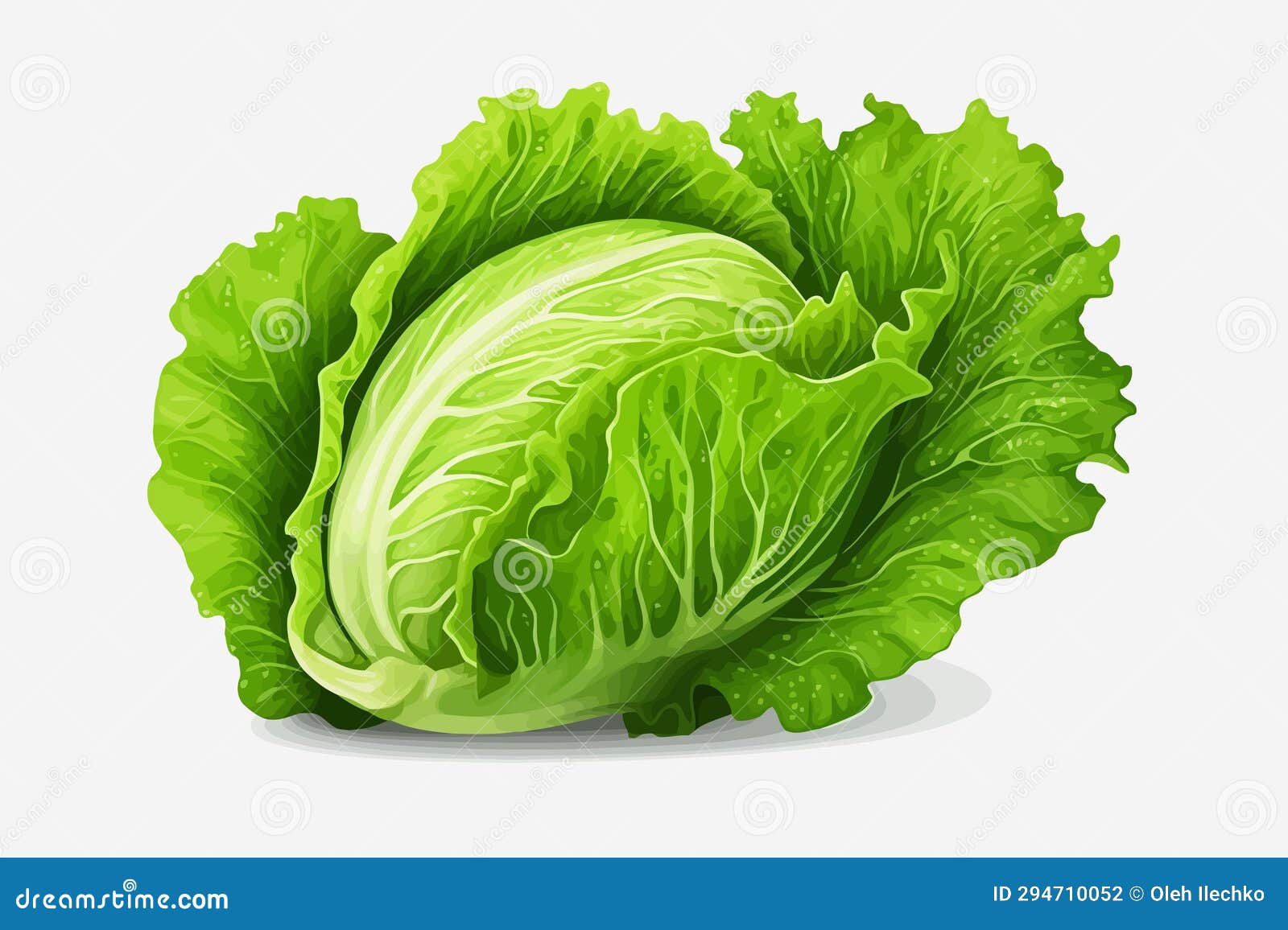 Lettuce Vector Flat Minimalistic Isolated Vector Style Illustration ...