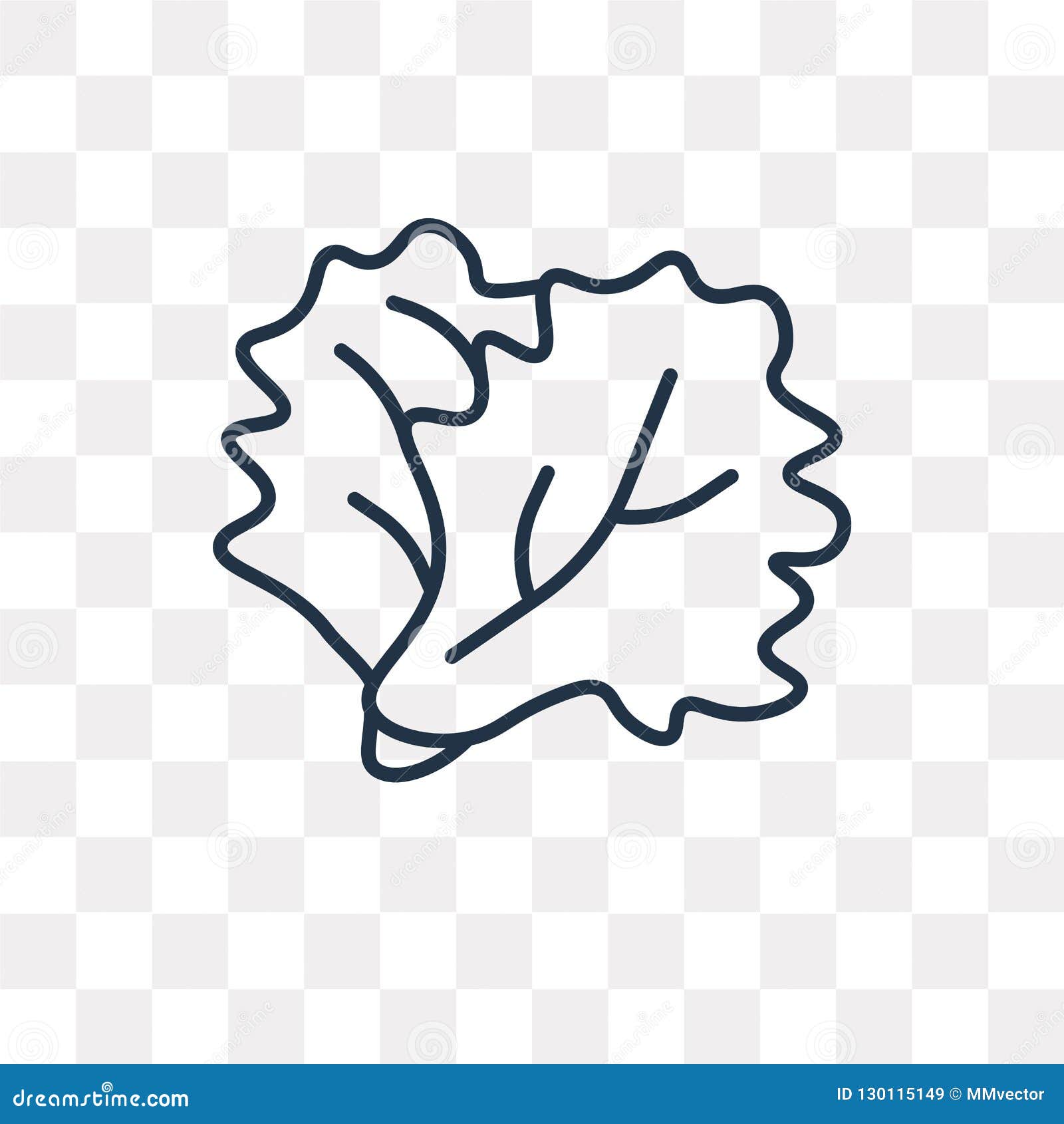 Lettuce Vector Icon Isolated on Transparent Background, Linear L Stock ...