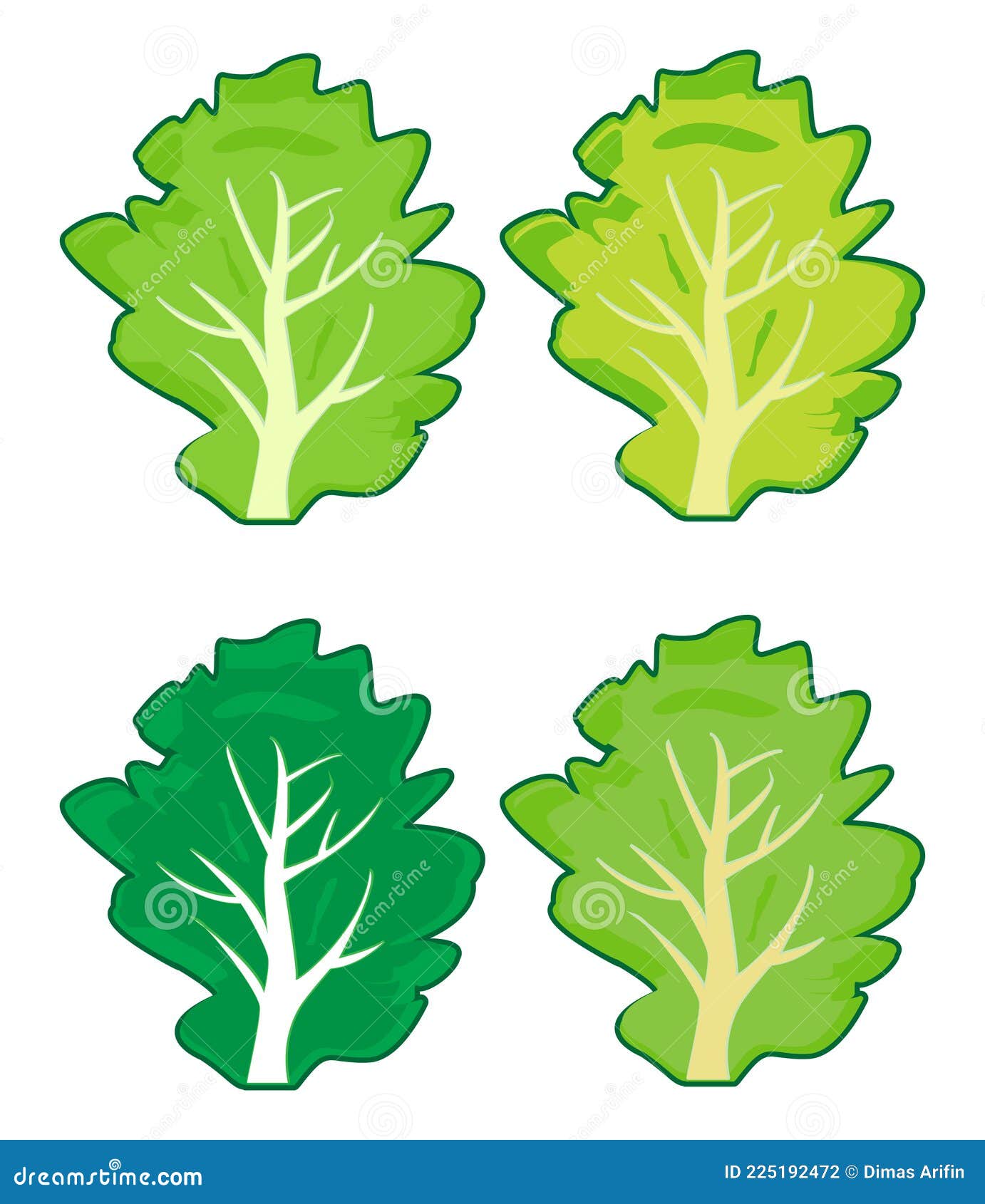 Lettuce Vegetable Mixed Colors Stock Vector - Illustration of food ...