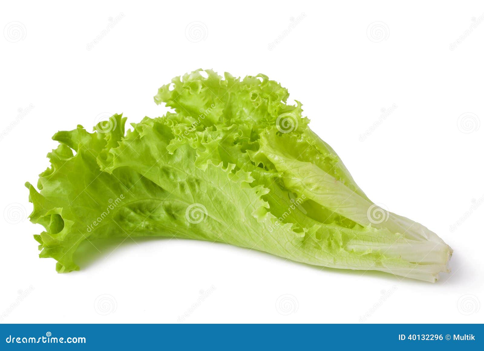 One Lettuce Leaf Isolated On A White Background Royalty-Free Stock ...