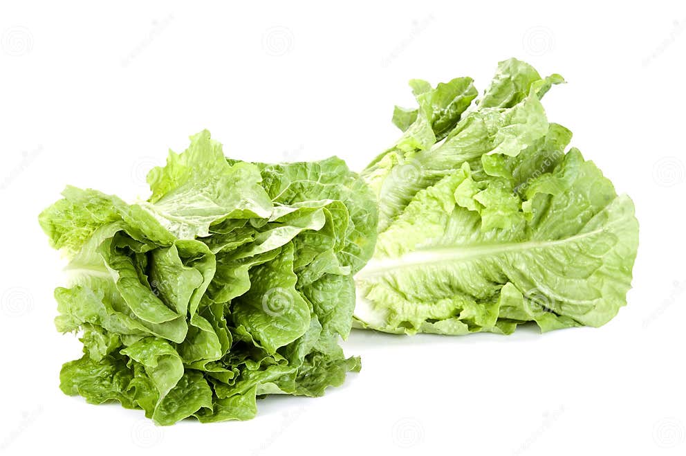 Lettuce on white stock photo. Image of antioxidant, fruit - 18483916