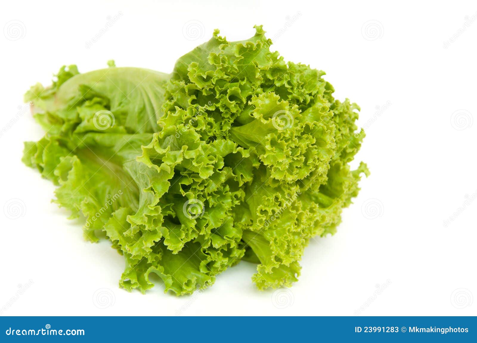 Lettuce in White Background Stock Image - Image of lifestyle, healthy ...