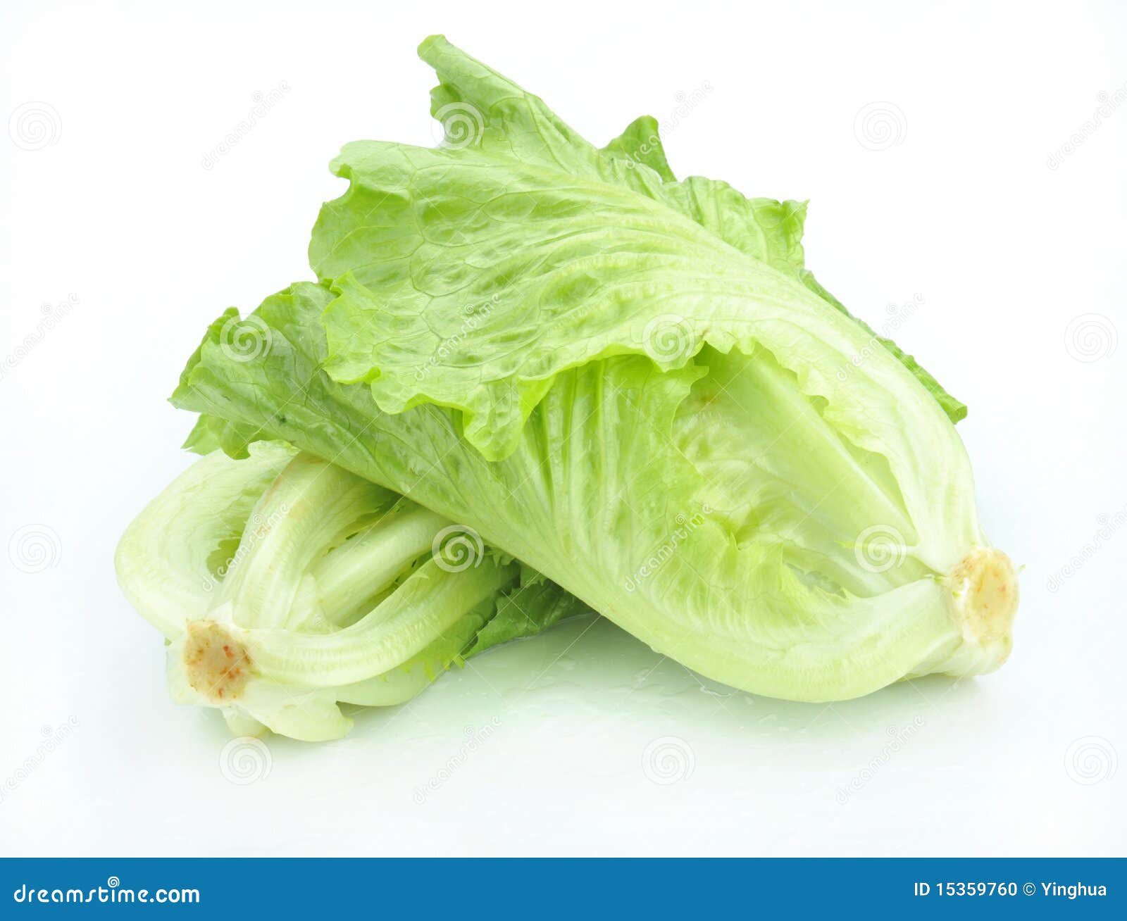 Lettuces stock photo. Image of close, romaine, bunch - 15359760