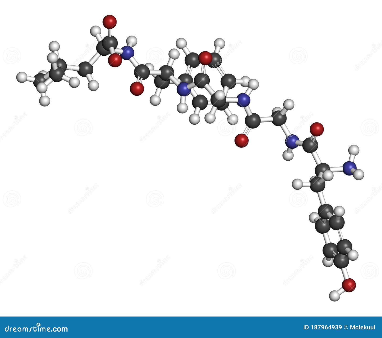 Leu-enkephalin Endogenous Opioid Peptide Molecule. 3D Rendering. Atoms ...