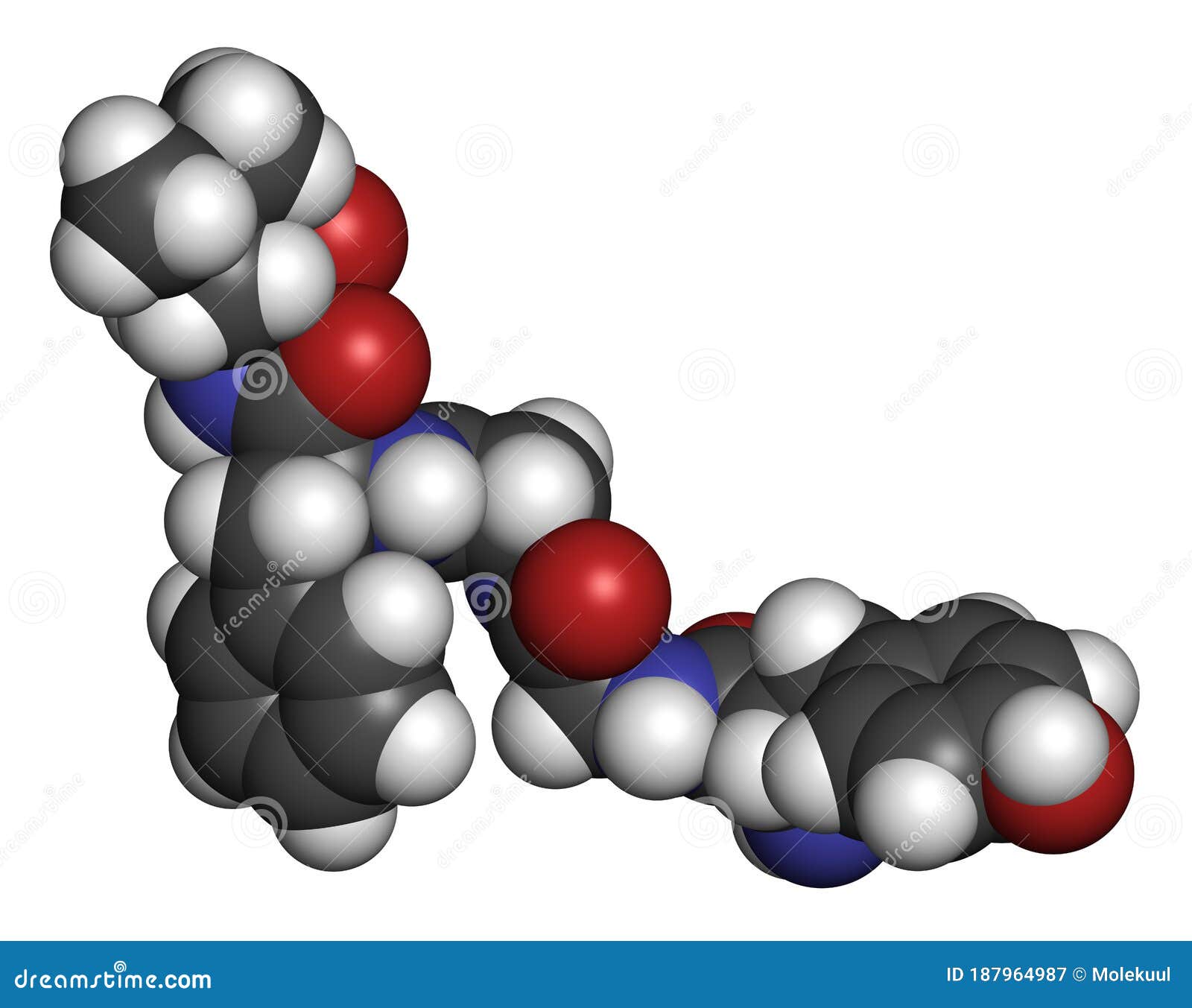 Leu-enkephalin Endogenous Opioid Peptide Molecule. 3D Rendering. Atoms ...