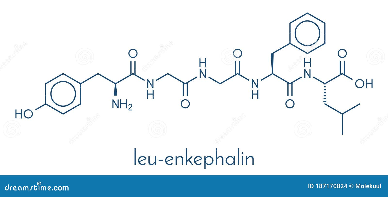 Met-enkephalin Endogenous Opioid Peptide Molecule. Skeletal Formula ...