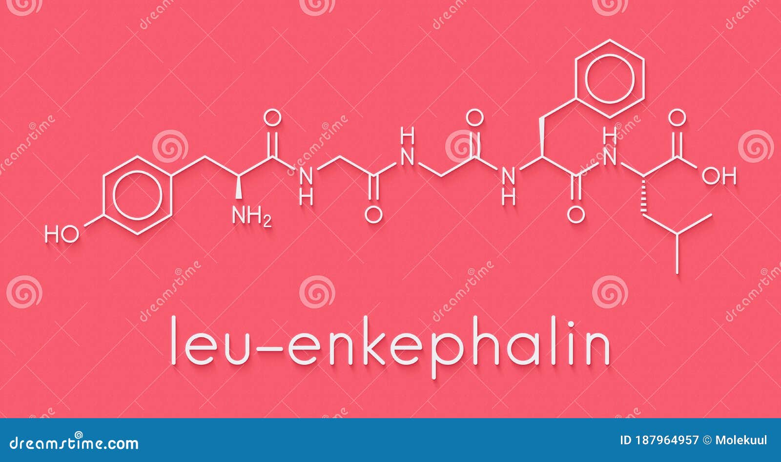 Leu-enkephalin Endogenous Opioid Peptide Molecule. Skeletal Formula ...