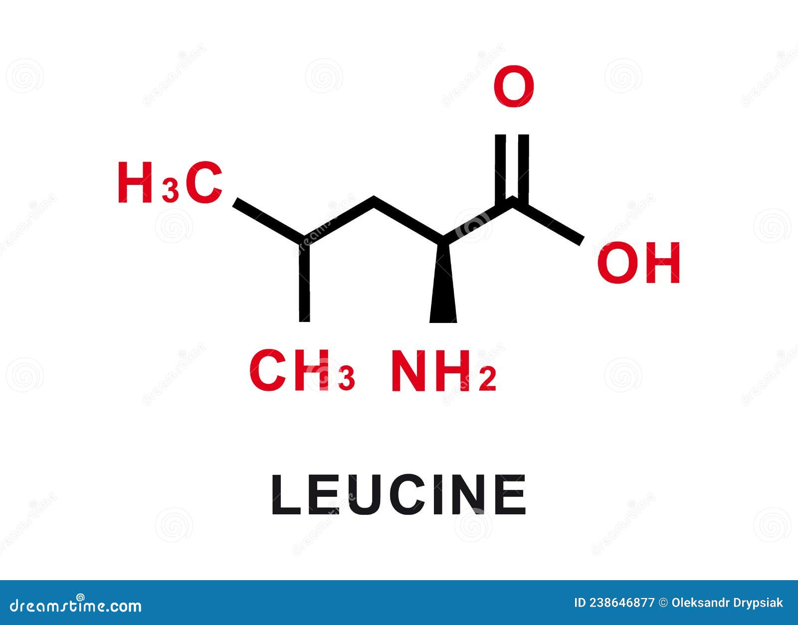 Leucine Chemical Formula. Leucine Chemical Molecular Structure. Vector ...
