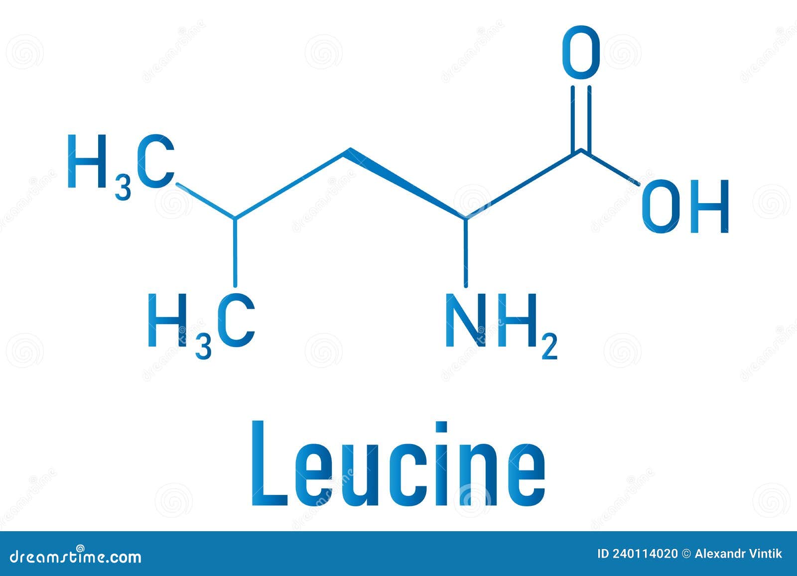 Leucine. Leu C6H13NO2. Essential Amino Acid. Structural Chemical ...