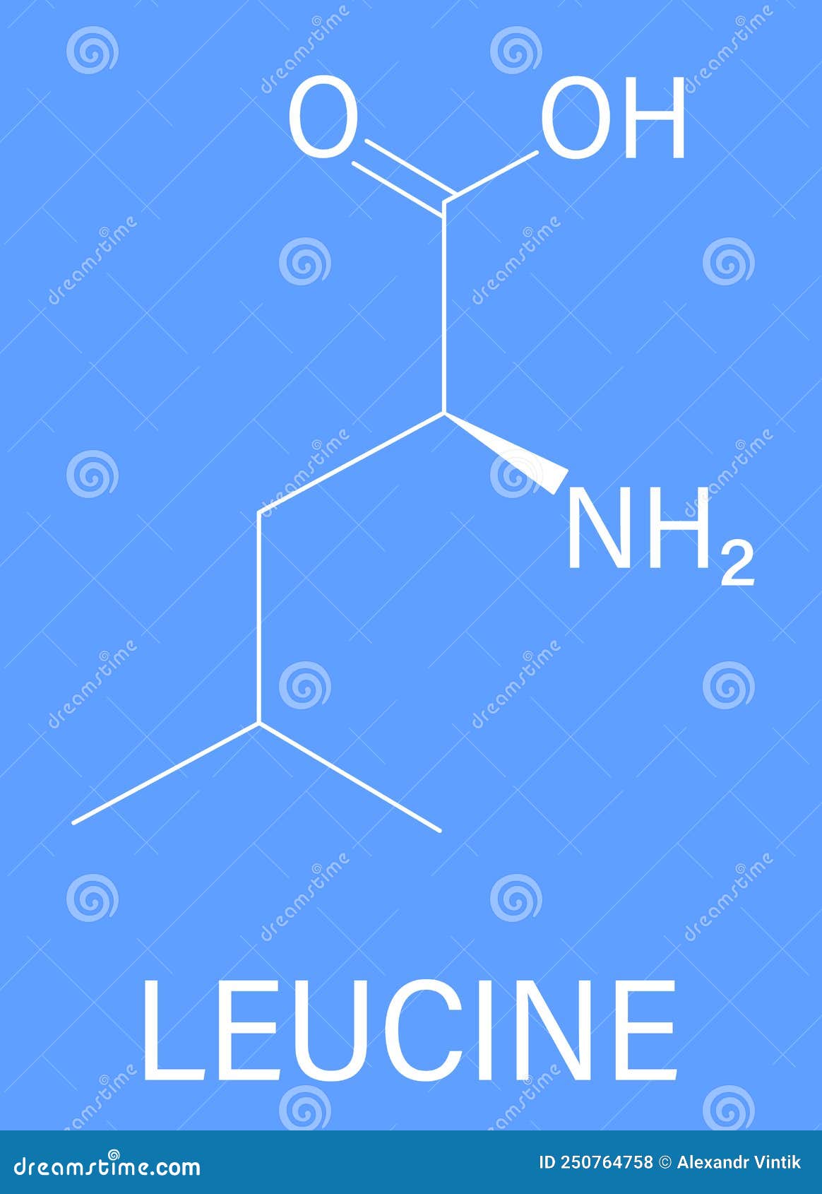 Leucine or L-leucine, Leu, L Amino Acid Molecule. Skeletal Formula ... Leucine or L-leucine, Leu, L Amino Acid Molecule. Skeletal Formula ...