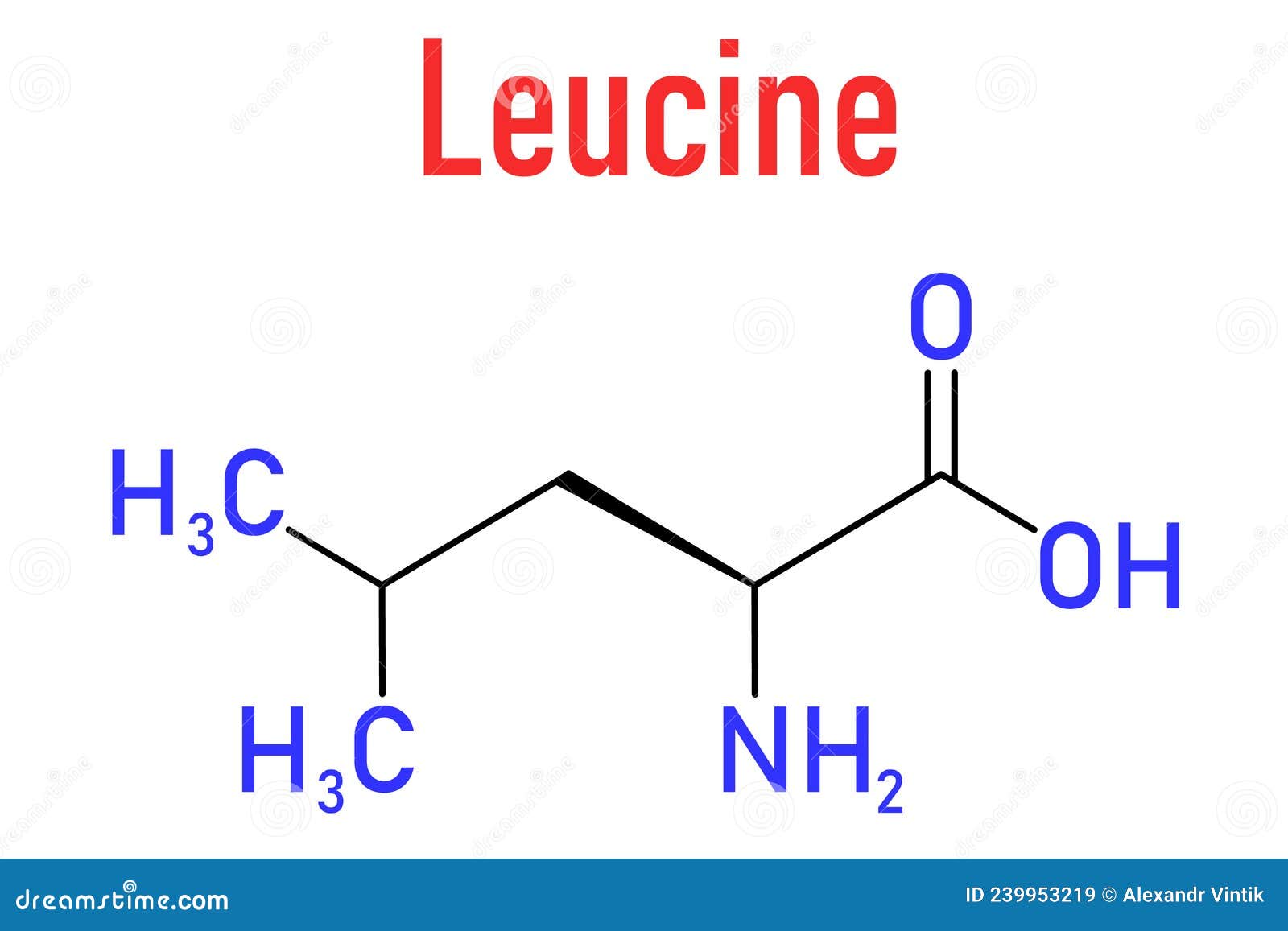 Leucine or L-leucine, Leu, L Amino Acid Molecule. Skeletal Formula ... Leucine or L-leucine, Leu, L Amino Acid Molecule. Skeletal Formula ...