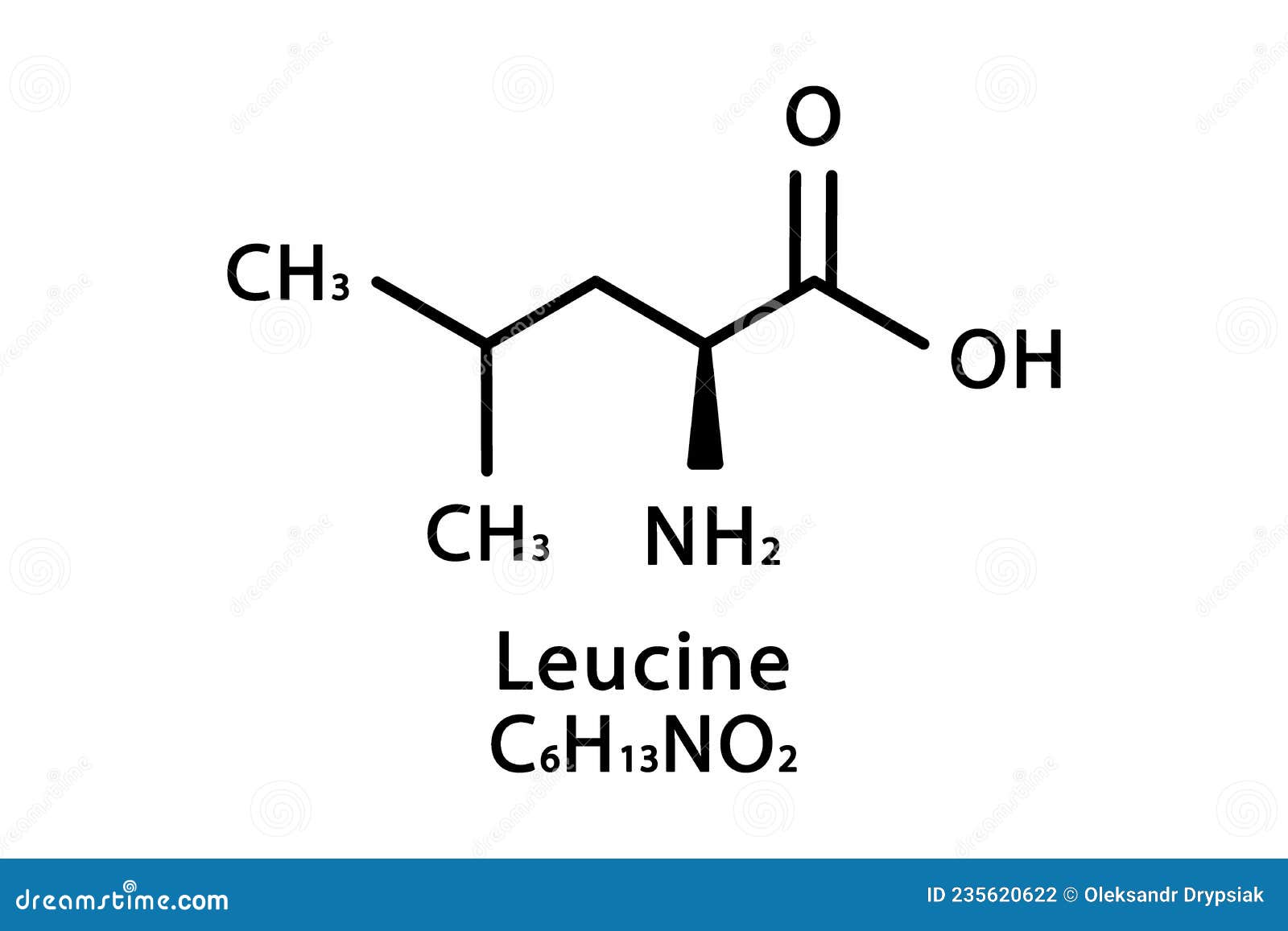 Leucine Molecular Structure. Leucine Skeletal Chemical Formula ...
