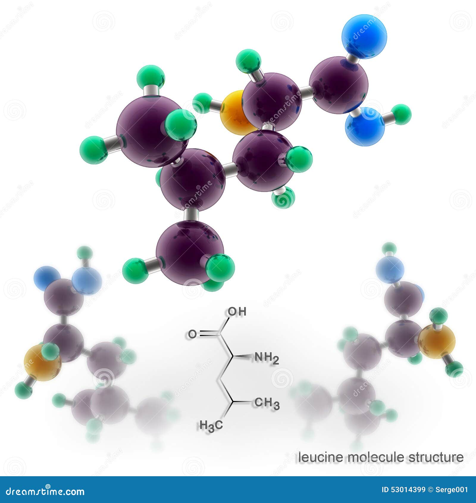 Leucine molecule structure stock illustration. Illustration of ...