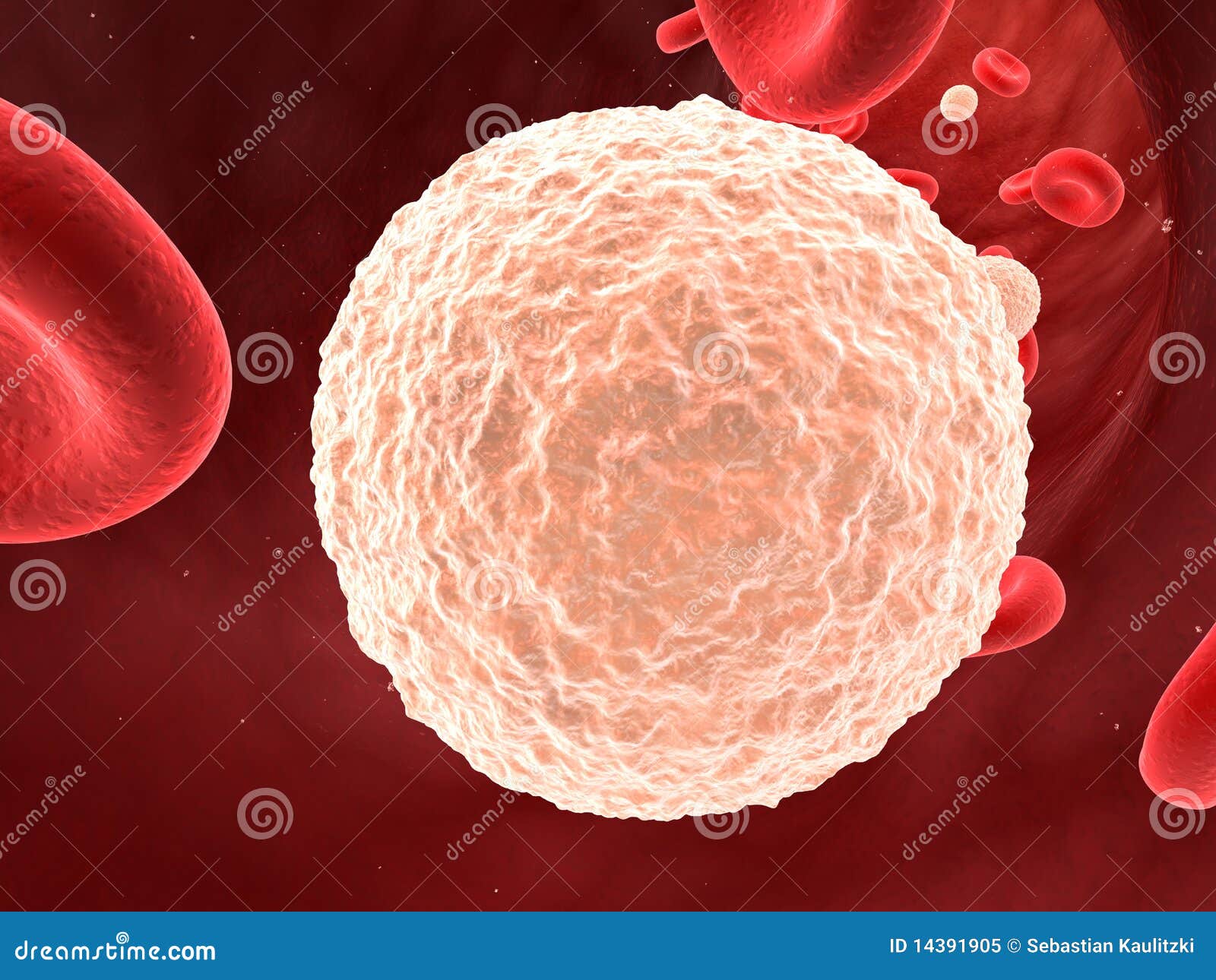 Leucocytes dans le sang illustration stock. Illustration du partie ...