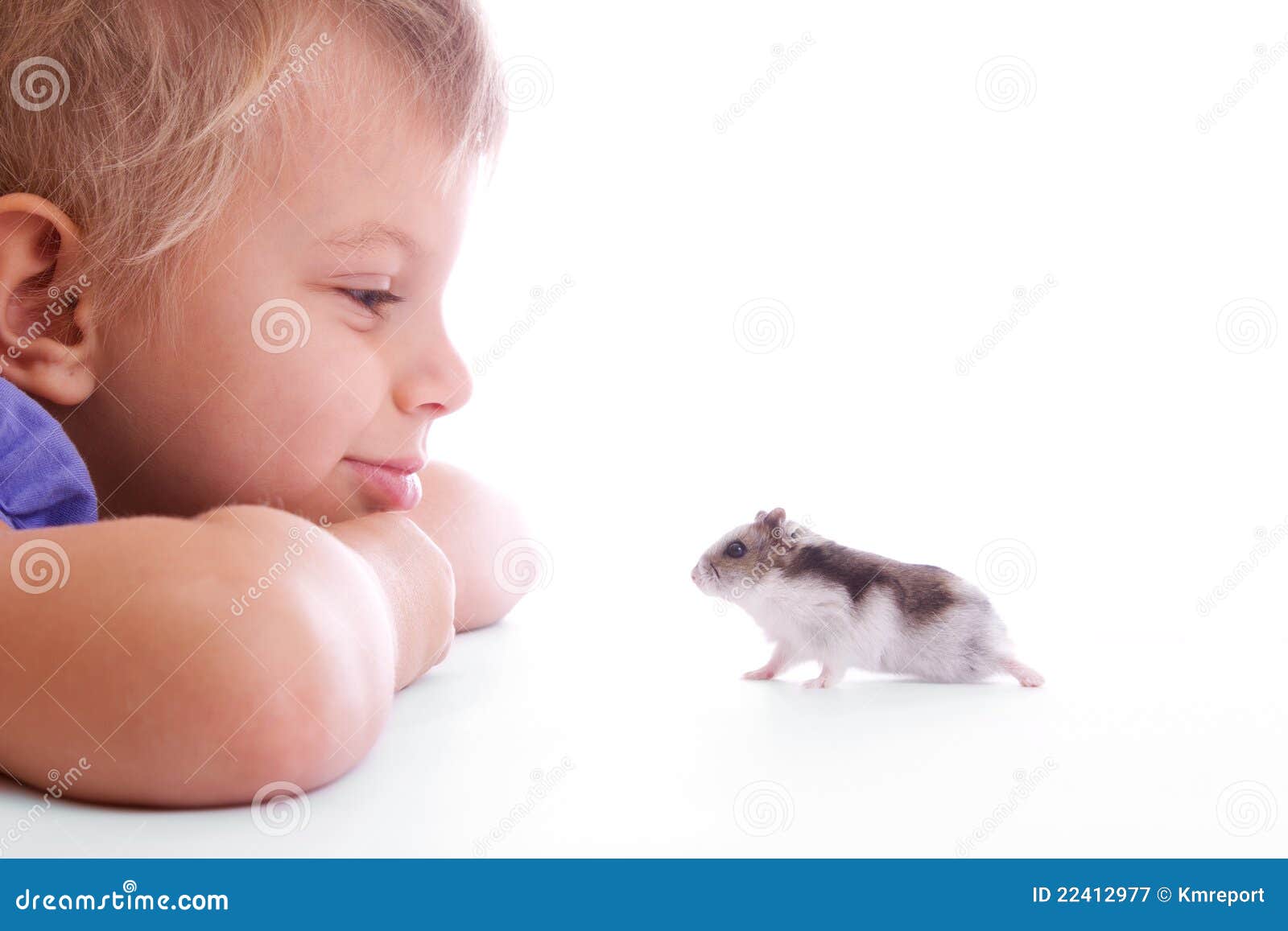 Leuk kind met hamster stock afbeelding. Image of gezicht - 22412977