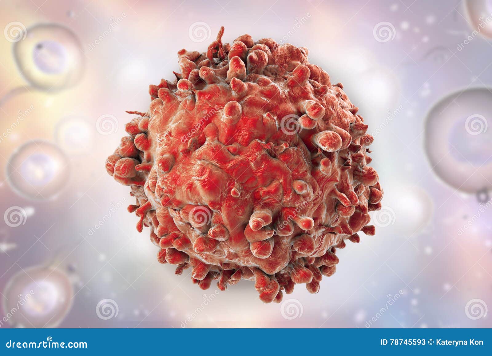 White Blood Cells Of A Human, Photomicrograph Panorama As Seen U ...