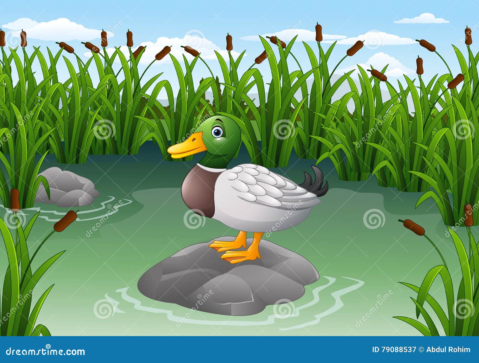 Leuke eend op de rots vector illustratie. Illustration of illustratie ...