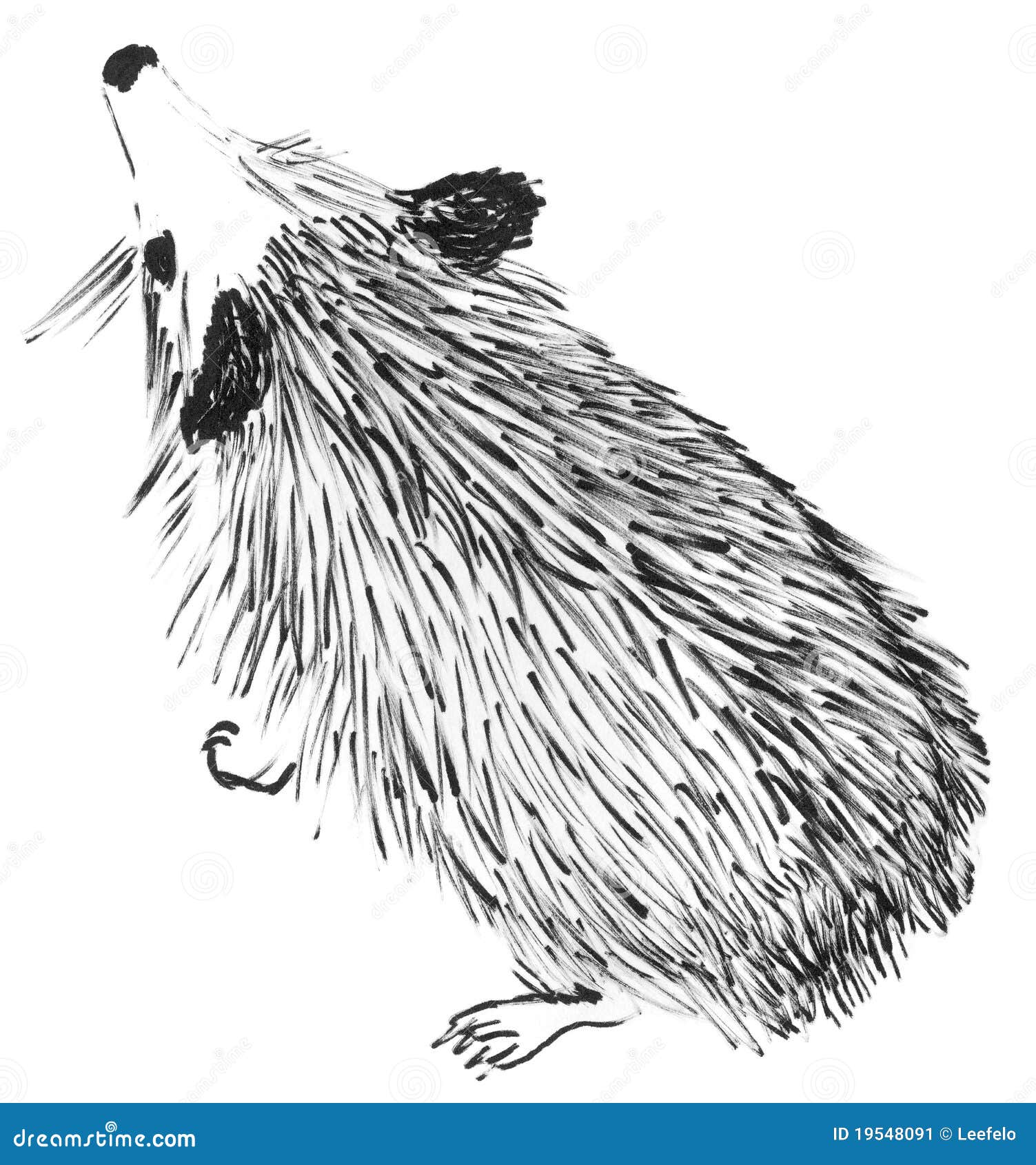 Leuke egel spontane schets stock illustratie. Illustration of gevoeld ...