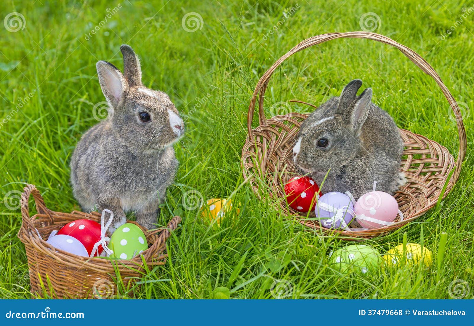 Leuke Pasen-konijnen stock foto. Image of viering, tuin - 37479668