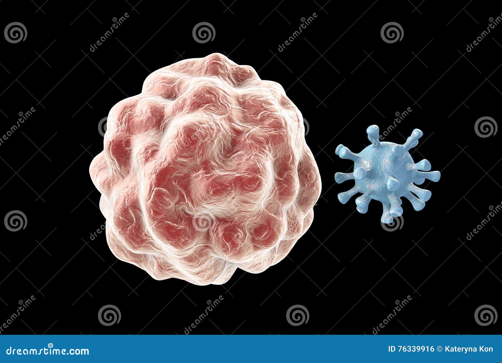 Leukocyt Som överväldigar Viruset Arkivfoto - Bild av makrofag ...