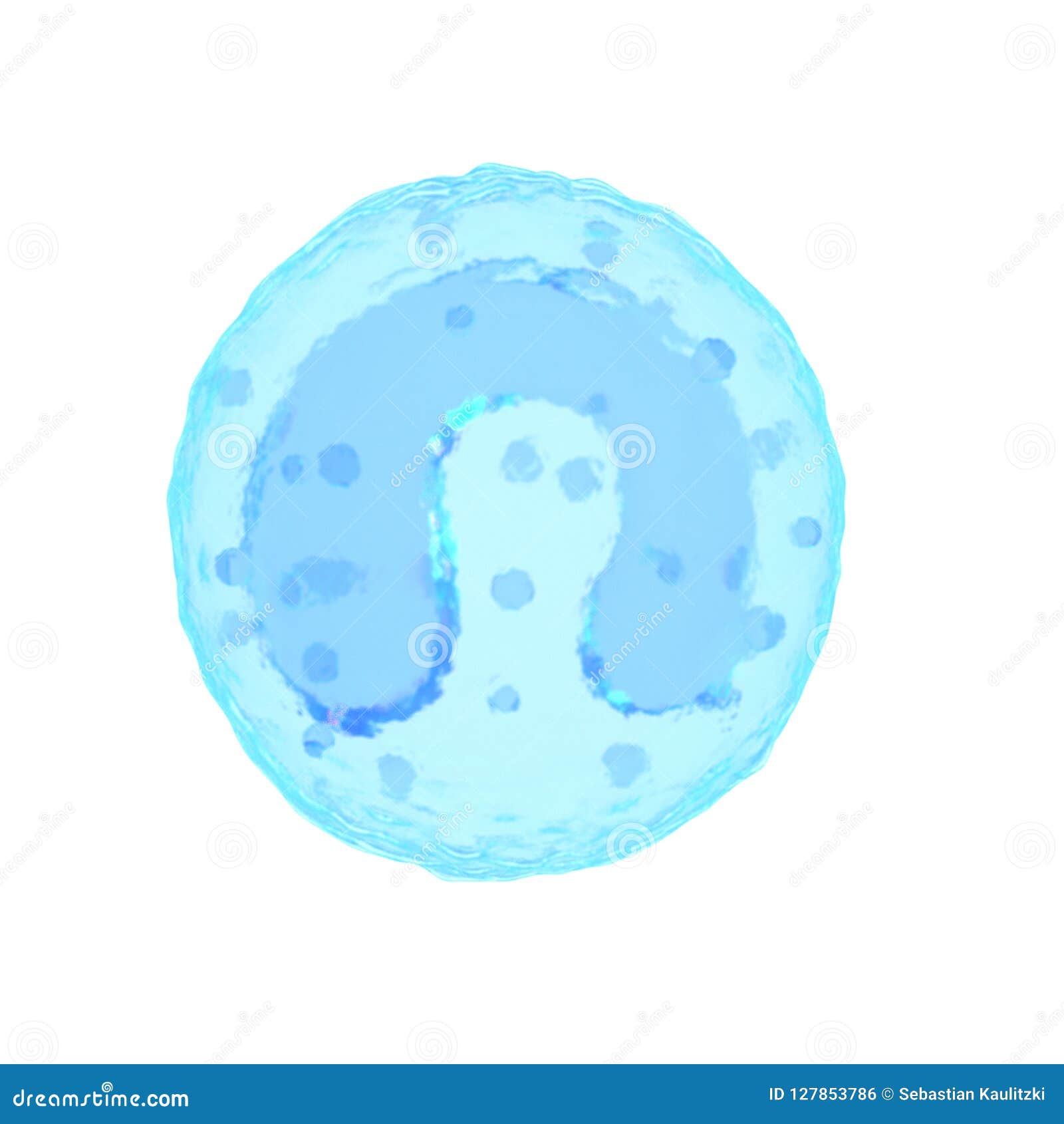 Leukocyte Cartoon Vector | CartoonDealer.com #96315817