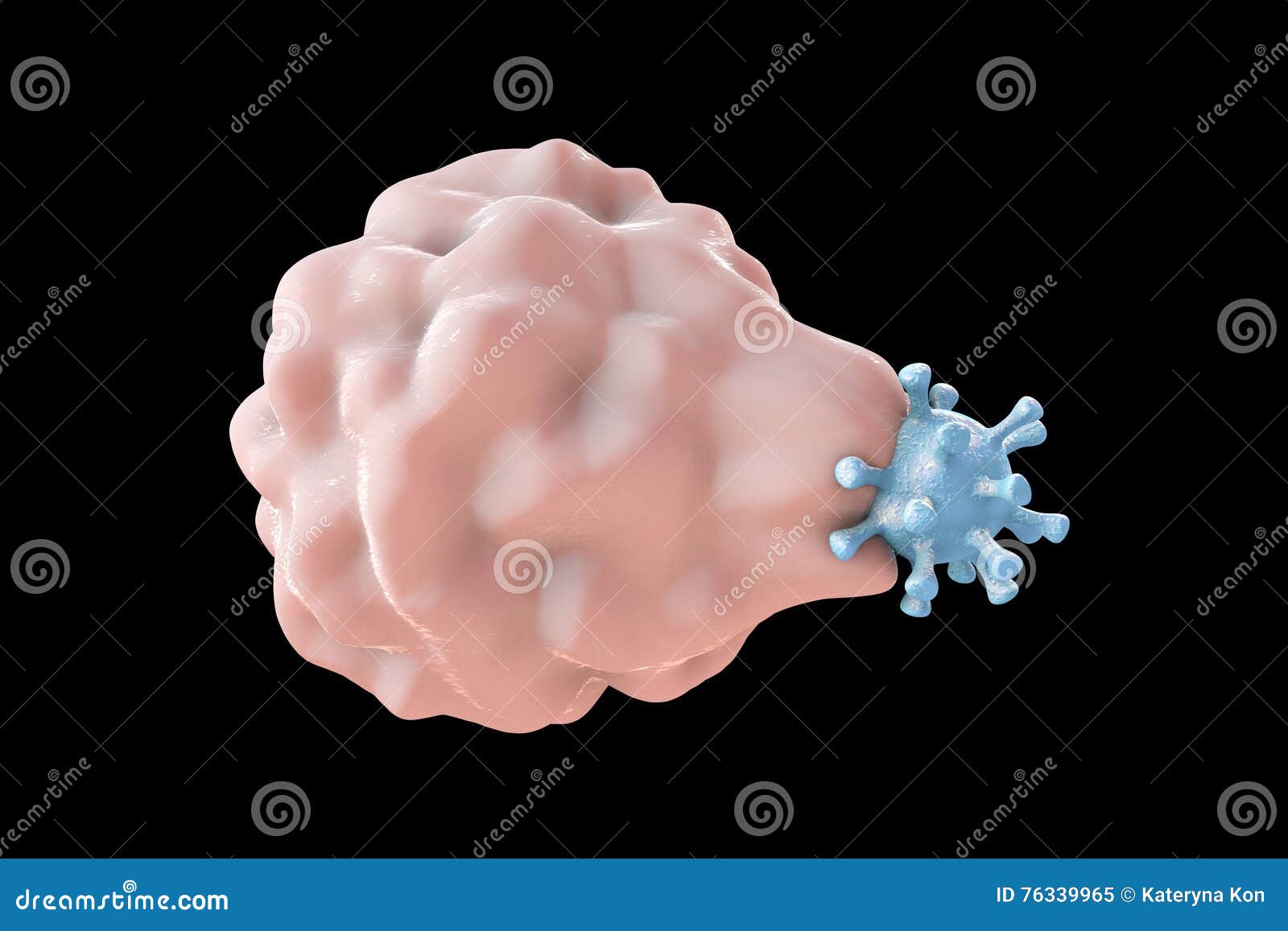 Leukocyte engulfing virus stock image. Image of immunity - 76339965