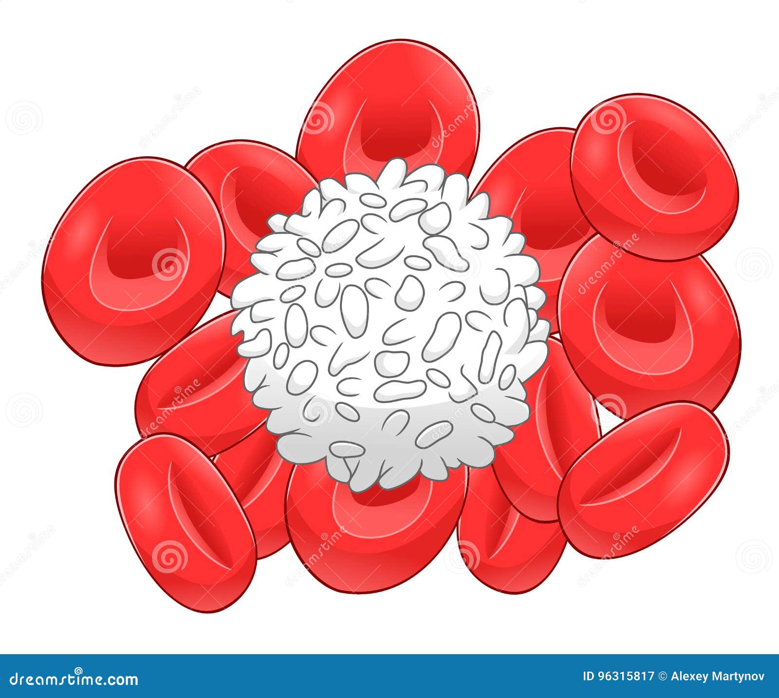 Leukocyte stock vector. Illustration of erythrocyte, science - 96315817