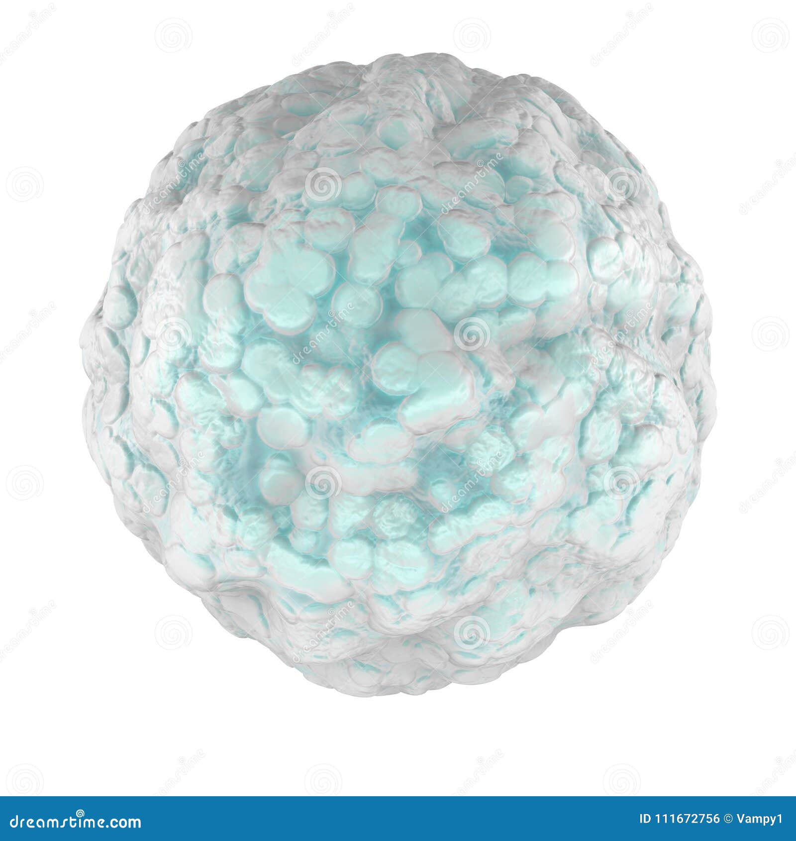 Leukocyte, White Blood Cell Seen Under a Microscope. Cell Stock ...