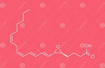 Leukotriene A4 LTA4 Molecule. Skeletal Formula. Stock Illustration ...