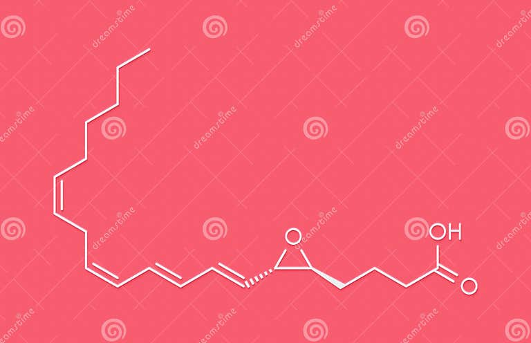 Leukotriene A4 LTA4 Molecule. Skeletal Formula. Stock Illustration ...