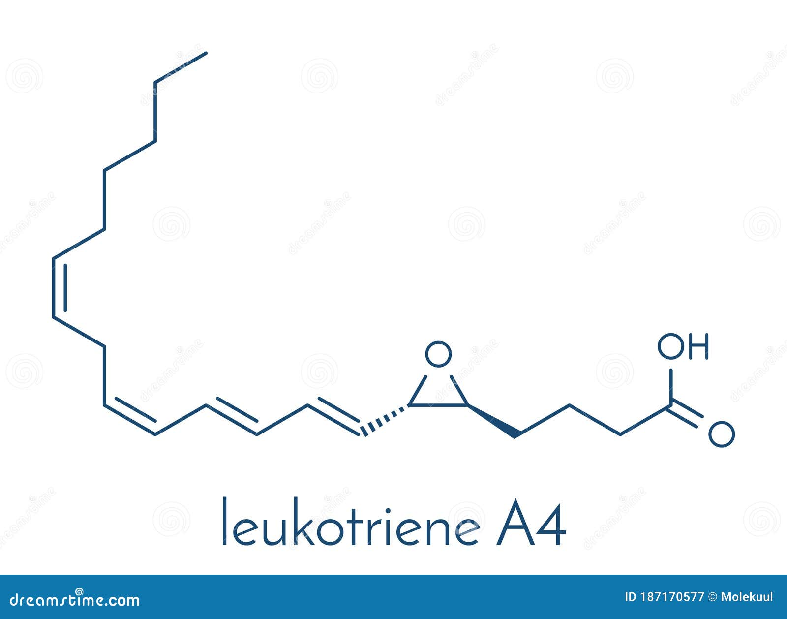 Leukotriene A4 LTA4 Molecule. Skeletal Formula. Chemical Structure ...