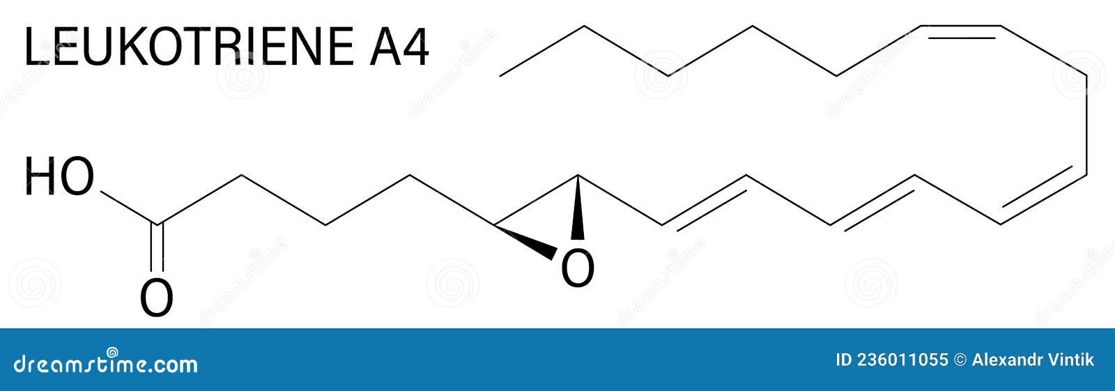 Leukotriene A4 LTA4 Molecule. Skeletal Formula. Chemical Structure ...