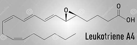 Leukotriene A4 or LTA4 Molecule. Skeletal Formula Stock Vector ...
