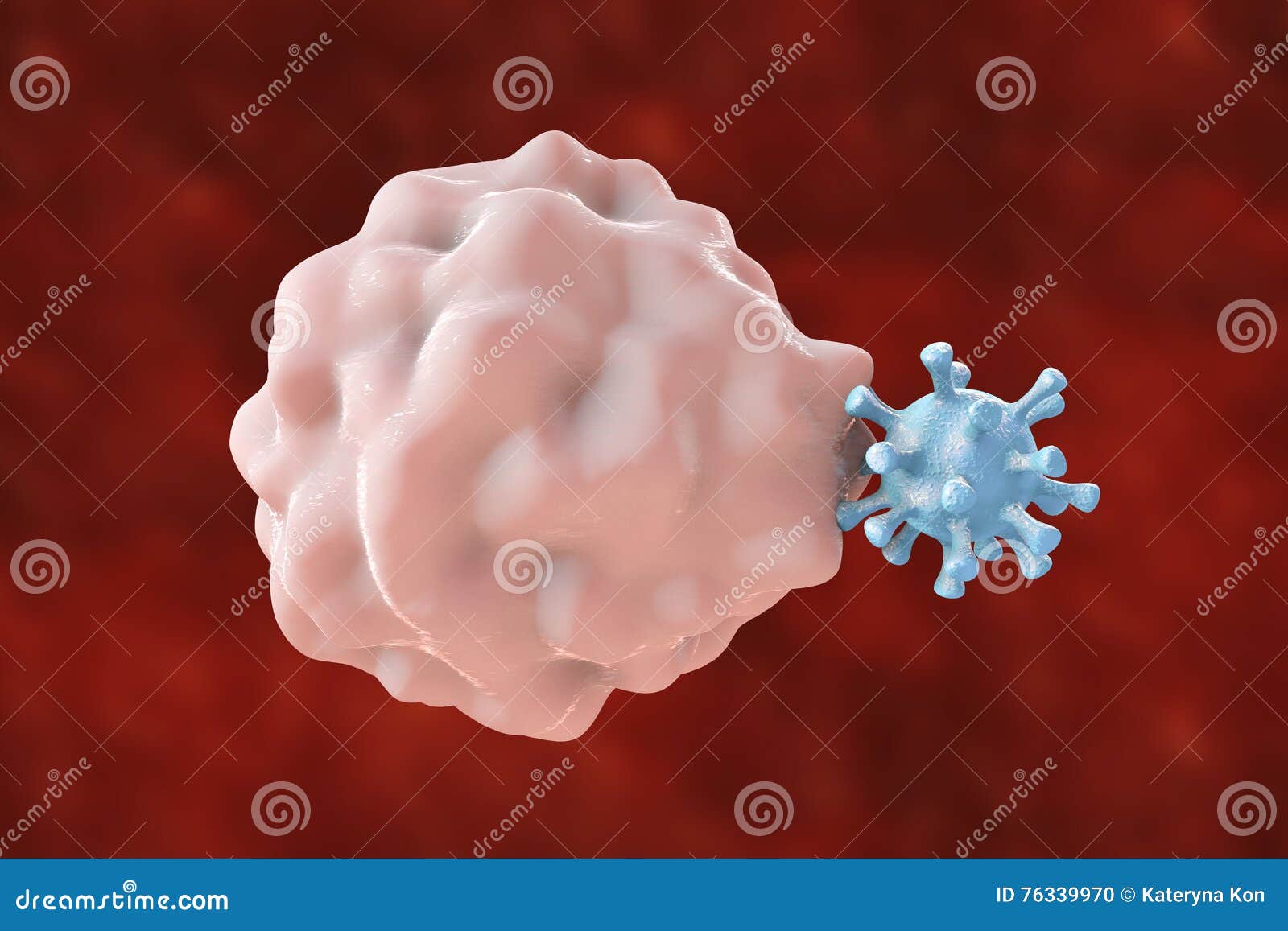 Leukozyte, Die Virus Versenkt Stockfoto - Bild von phagozyt, onkologie ...