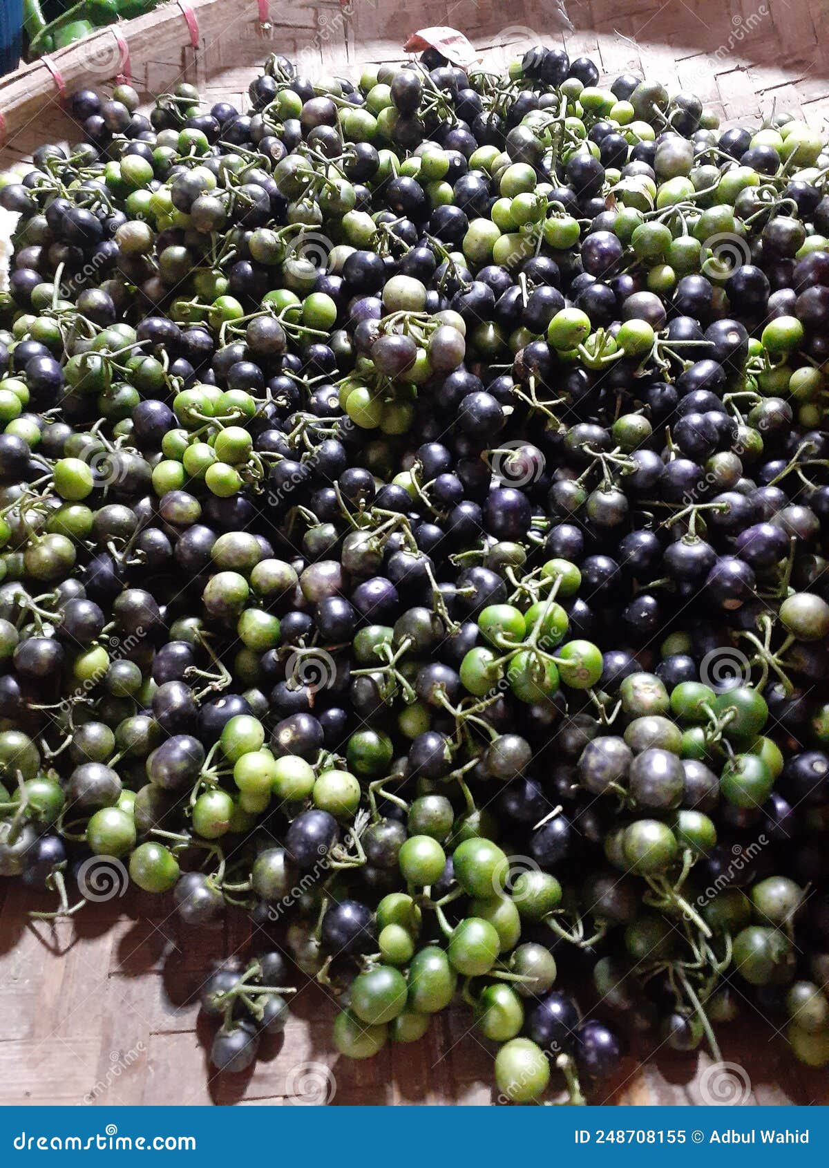 Leunca is One Type of Vegetable that is Still Related To Eggplant ...