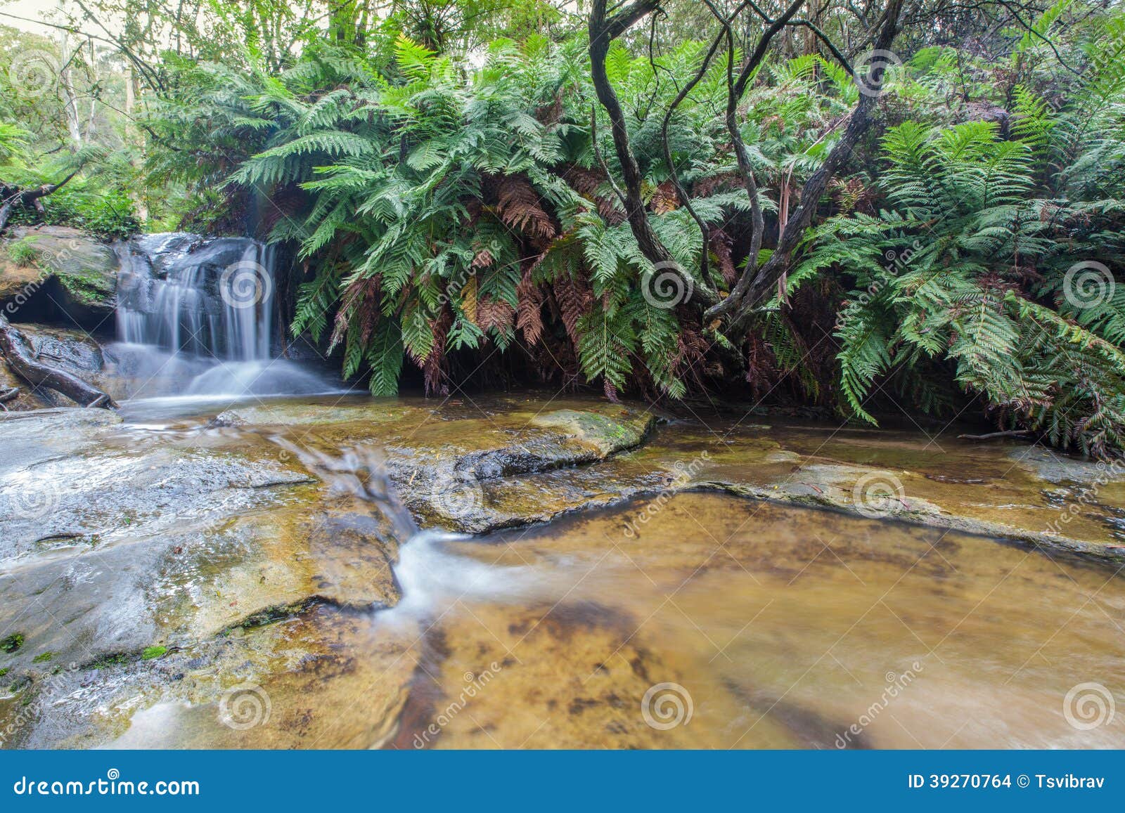 Leura Falls, Blue Mountains, Australia Stock Photo - Image of green ...