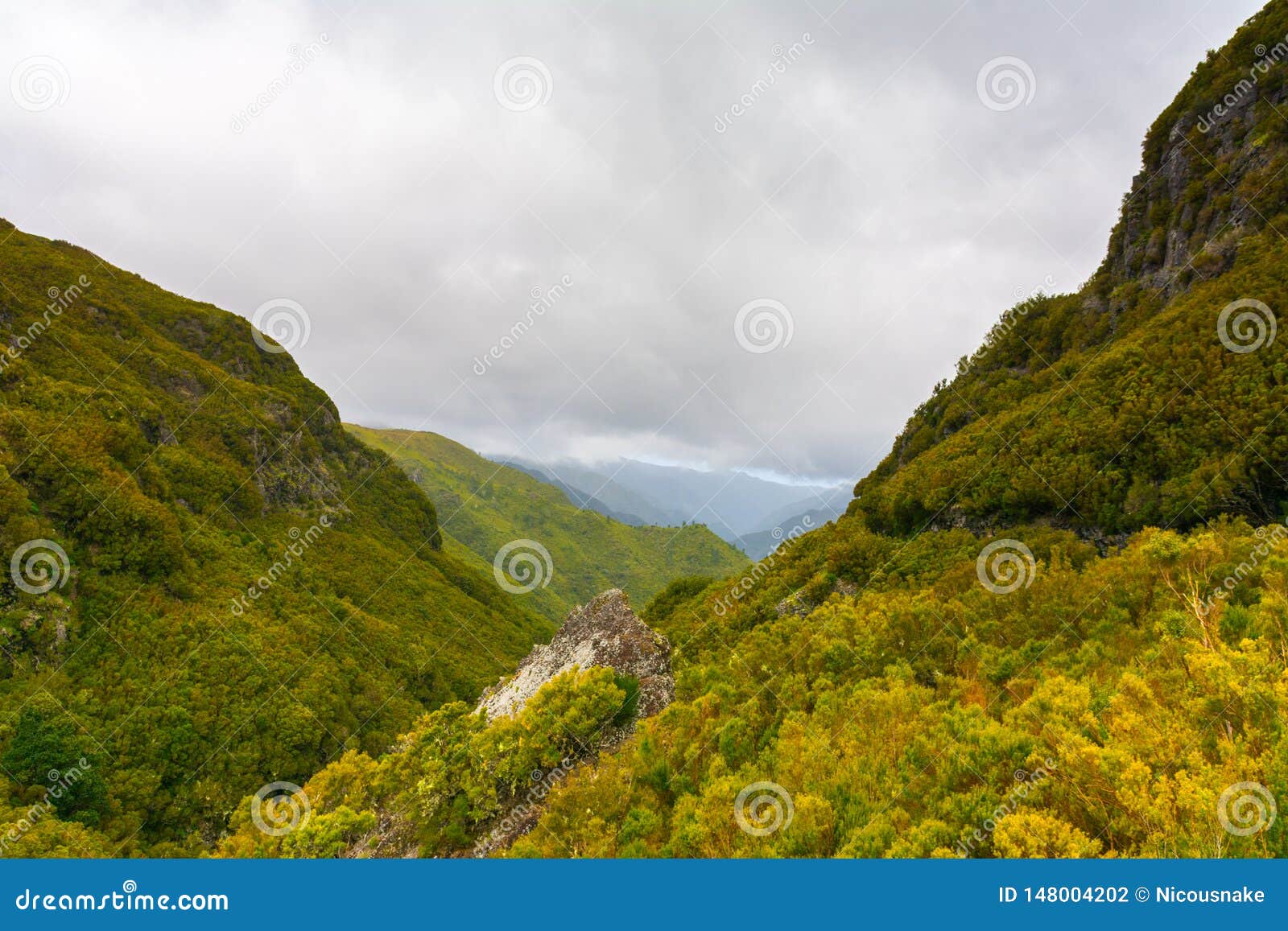 Levada Das 25 Fontes and Levada Do Risco Stock Photo - Image of grass ...