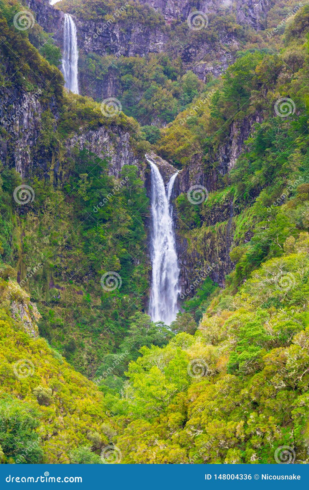 Levada Das 25 Fontes and Levada Do Risco Stock Photo - Image of nature ...