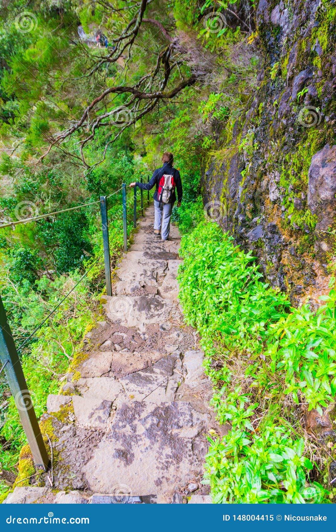 Levada Das 25 Fontes and Levada Do Risco Editorial Image - Image of ...