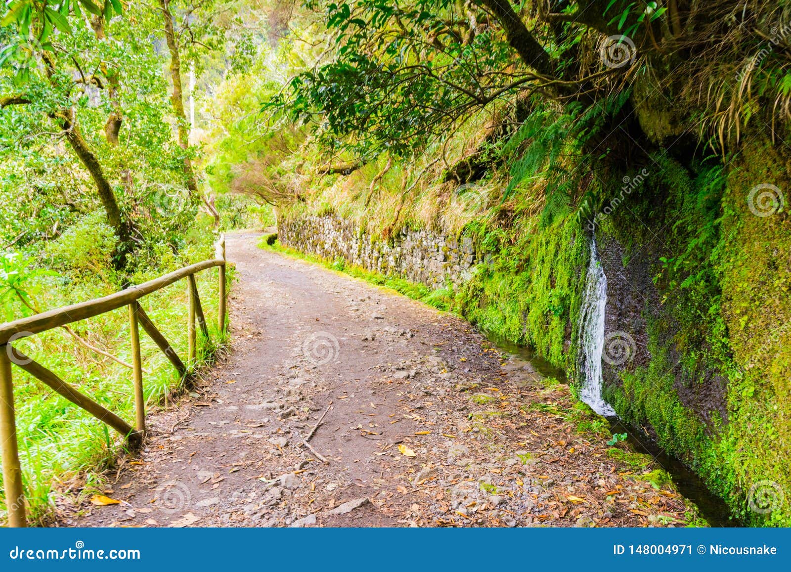 Levada Das 25 Fontes and Levada Do Risco Stock Image - Image of falls ...
