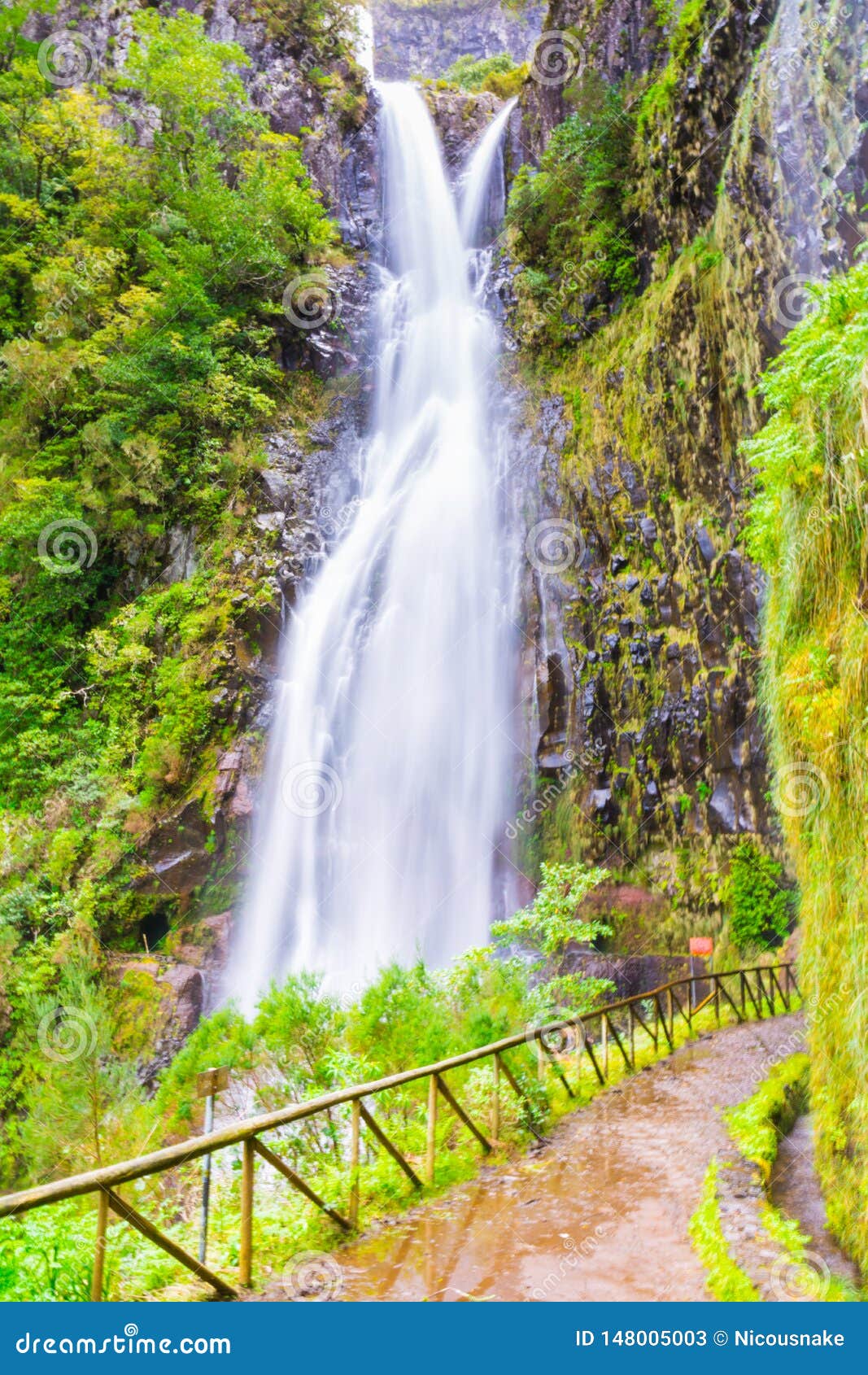 Levada Das 25 Fontes and Levada Do Risco Stock Image - Image of ...