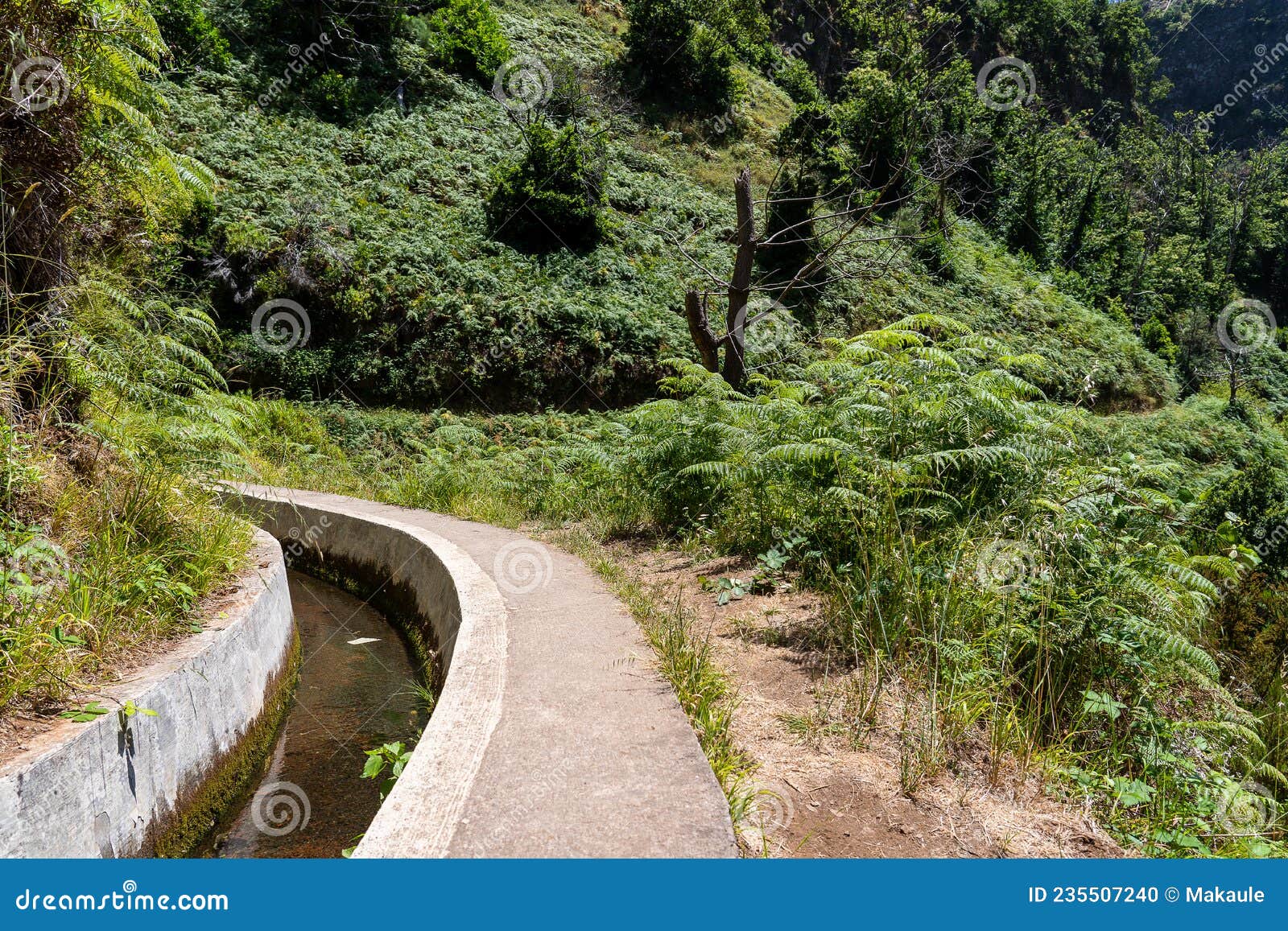Levada do Moinho stock photo. Image of outdoor, nature - 235507240