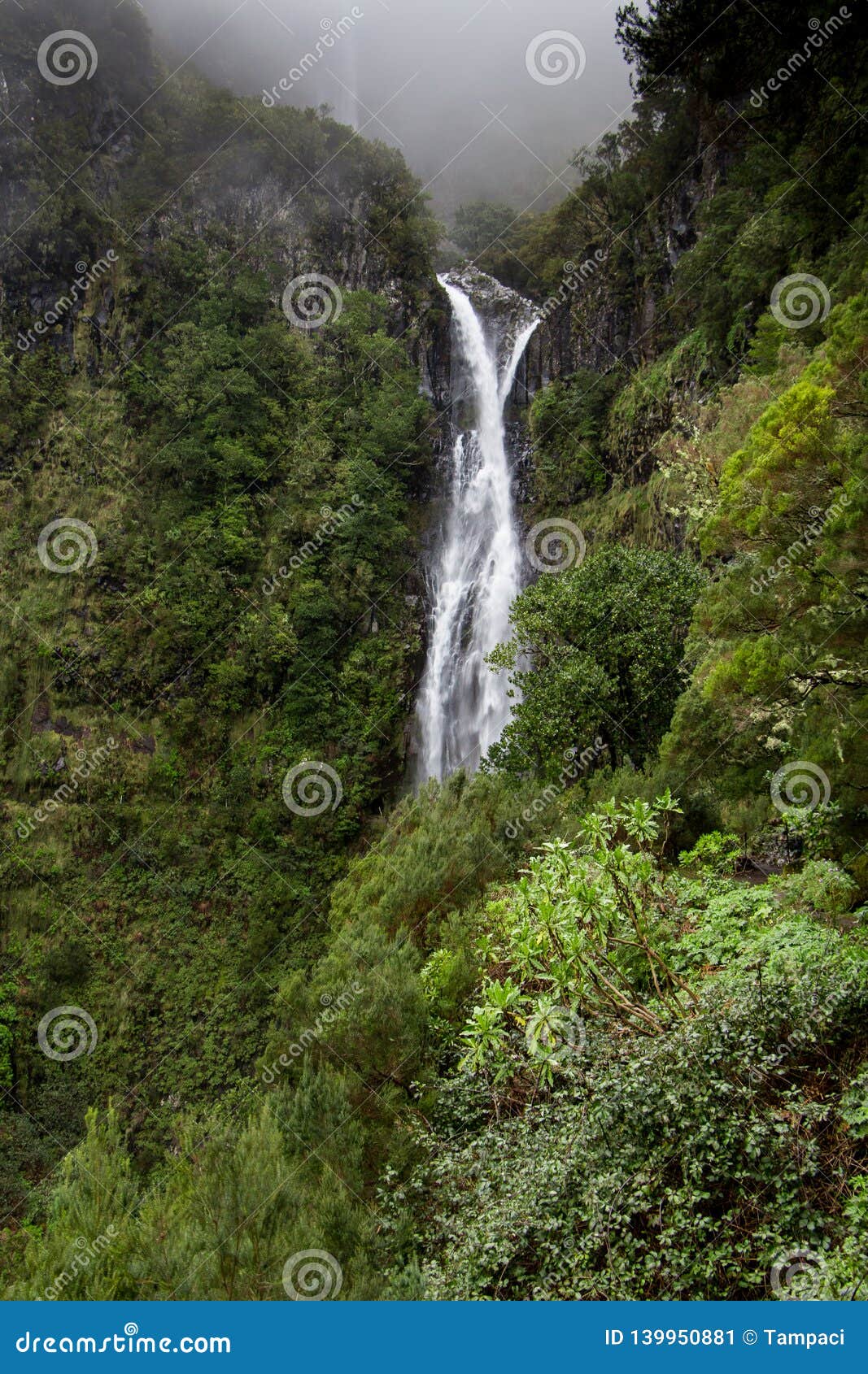 Levada do Risco waterfall stock image. Image of river - 139950881