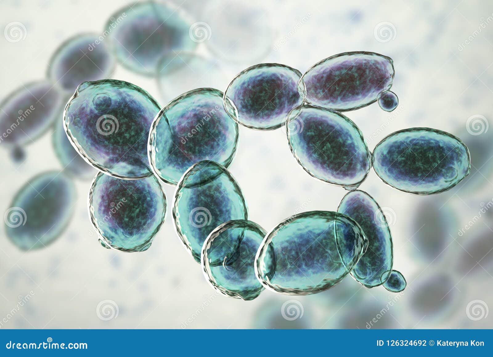 Levadura De Saccharomyces Cerevisiae Stock de ilustración - Ilustración ...